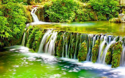 Cool Cool Greenery - Album View Page - Wolmal