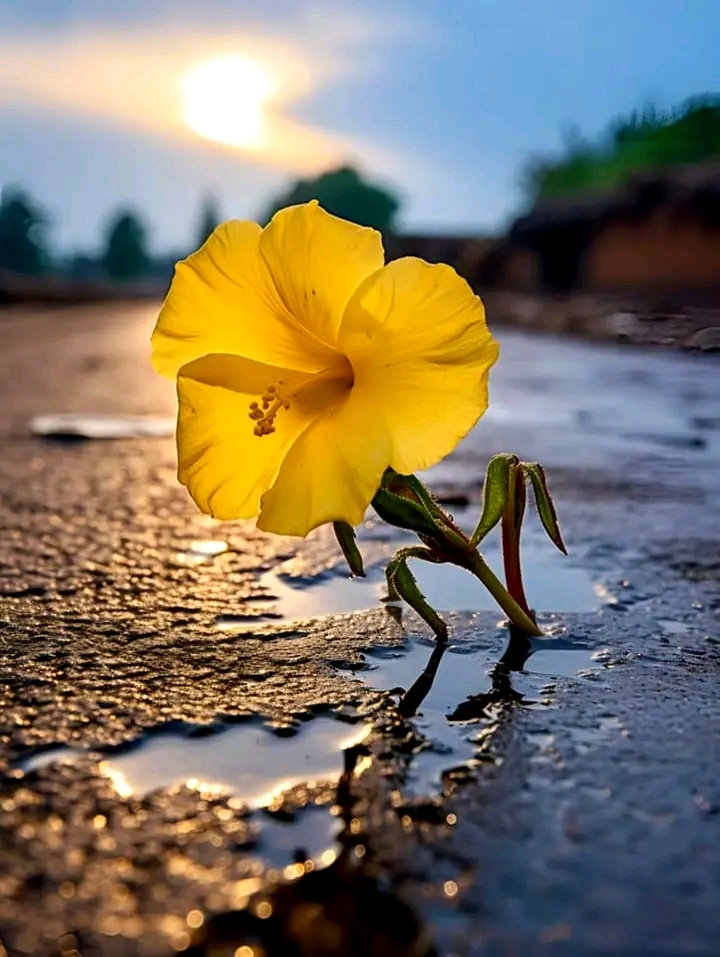 Beautiful scenery - Album View Page - Wolmal