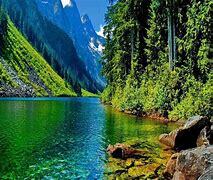 Greenery - Album View Page - Wolmal